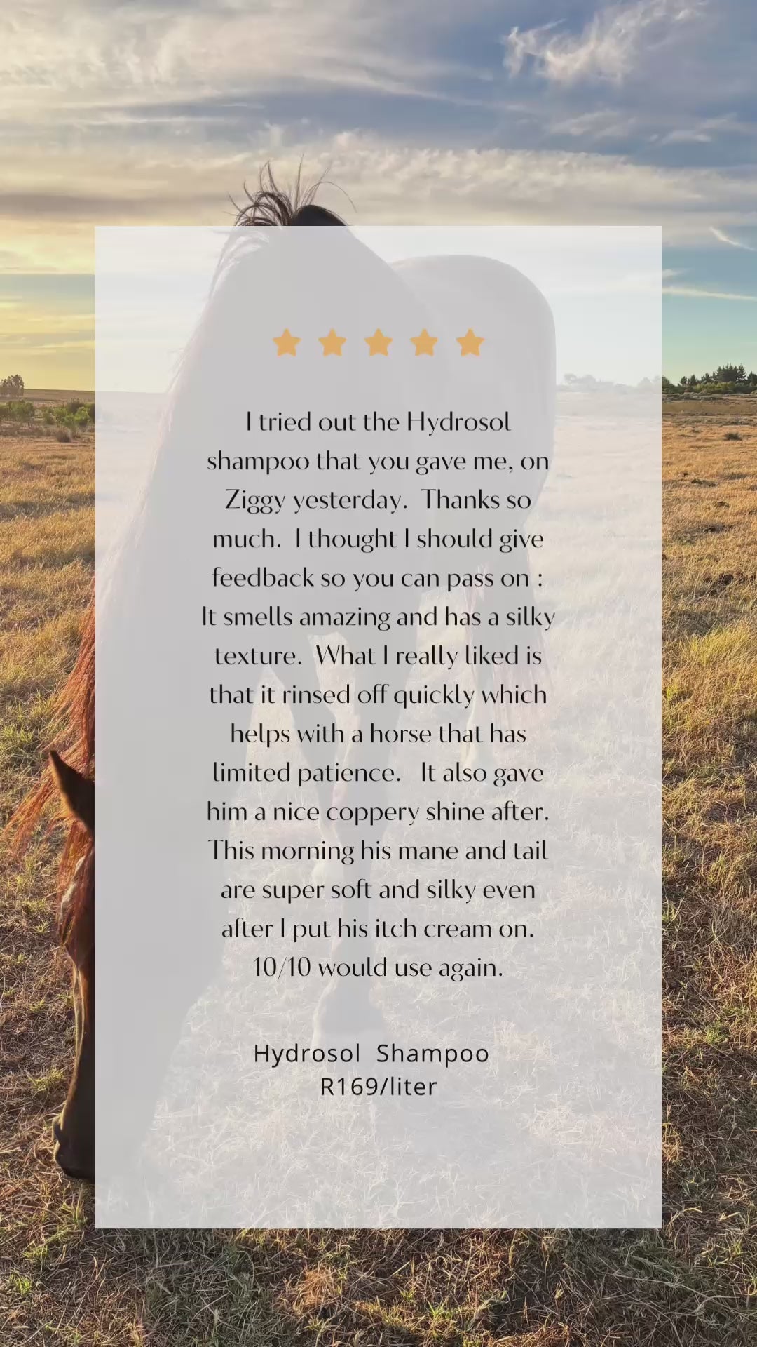 Cowboy Magic Hydrosol Shampoo – Equine Magic